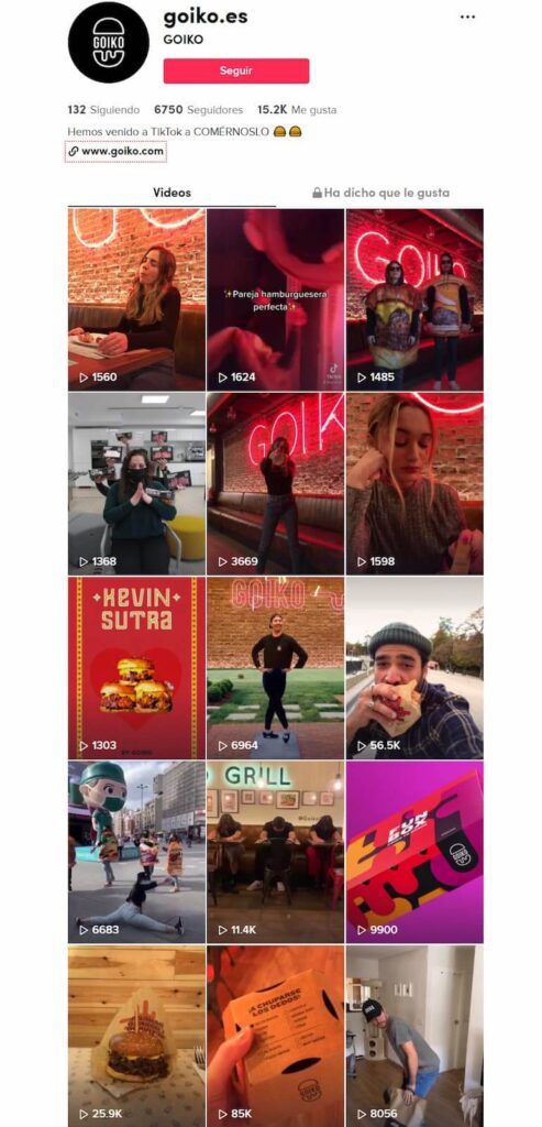 TikTok para Empresas: Cómo usar en tu Estrategia de Marketing [Ejemplos]